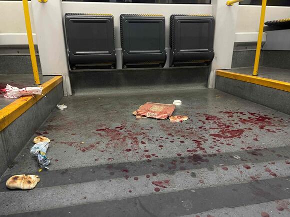 Syrian migrant arrested for slashing American model John Rudat across ...