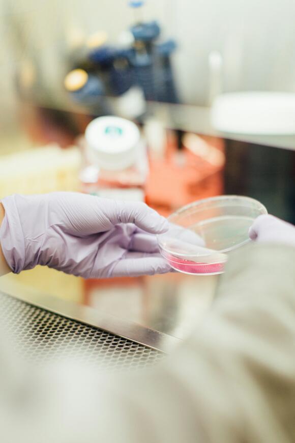 Gene Editing Gone Wrong: What Happens When CRISPR Makes a Mistake ...