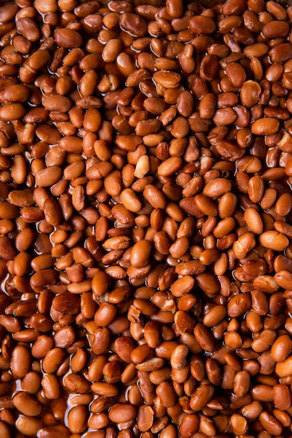 The Healthiest Beans-From Worst to Best, Ranked - NewsBreak