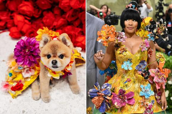 Haute dog couture: Pet Gala channels Zendaya, Gigi Hadid and more with ...