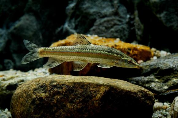 If You're One Of These 2 Zodiac Signs, Love Will Show Up When You Least ...