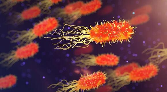 The 43% Human Rule: Understanding the Microbes That Make Up Most of ...
