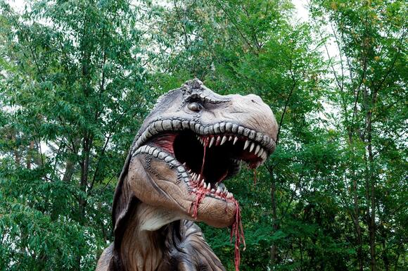 Could a T-Rex Eat a Triceratops in One Sitting? - NewsBreak