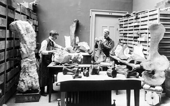 Early Fossil Labs: Where Dinosaur Bones Were Studied Before Microscopes ...