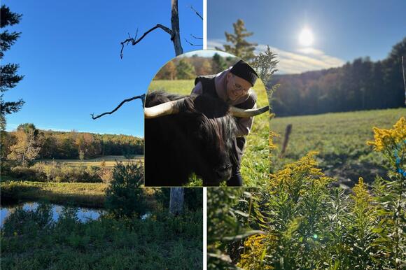 Two Highland Cows Led to an Unexpected Upstate NY Farm Story - NewsBreak