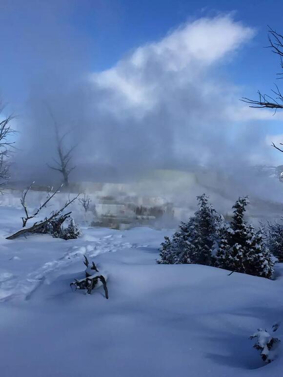 Glacier vs Yellowstone: 2025 Visitor Numbers Revealed - NewsBreak