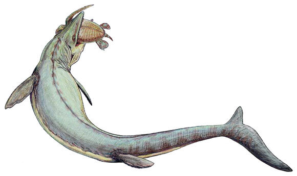Why Mosasaurs Became the True Kings of the Prehistoric Seas - NewsBreak