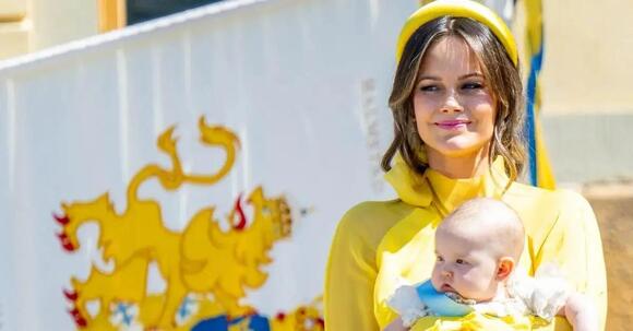 Princess Sofia of Sweden's 'Meetings' With Jeffrey Epstein Took Place ...