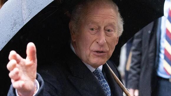 EXCLUSIVE: Prince Harry and Meghan Markle Accused of 'Hijacking' King ...