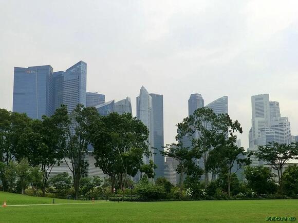 The Urban Jungle: How Singapore Balances Wildlife Conservation with ...