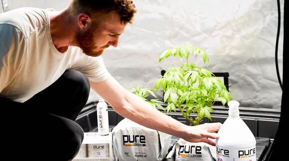 Growing Nourishment in Orbit: New ISS Experiments Target Sustainable ...