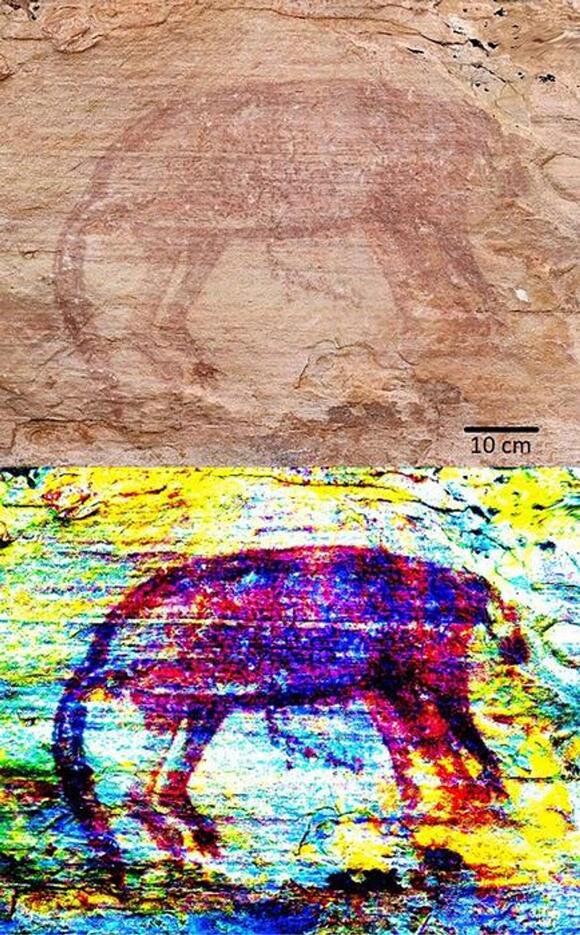 Aboriginal Cave Paintings of Now-Extinct Tasmanian Tiger May Shift ...