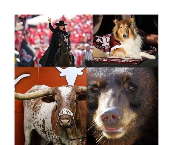 Meet The Iconic Live Animal Mascots Of College Football - NewsBreak