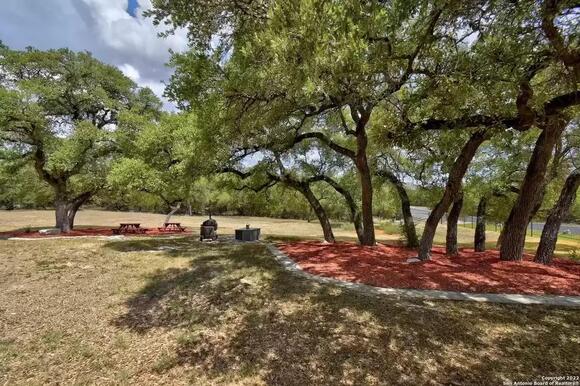 Narcotic Smelling Horse Sparks Wild Foot Chase in Texas - NewsBreak