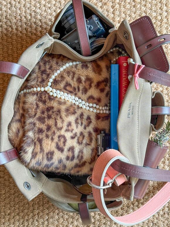 This New Spring Prada Bag Is Already on Every It Girl's Arm - NewsBreak