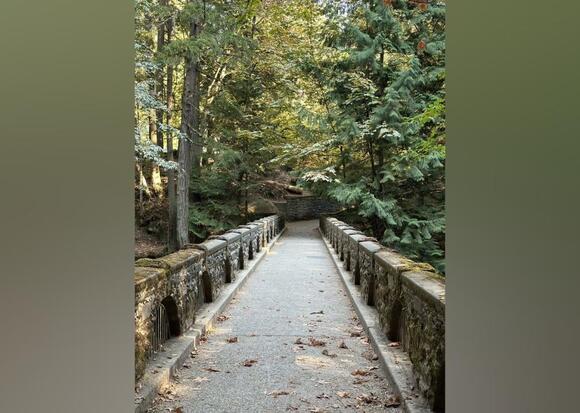 7 perfect outdoor activities everyone in Bellingham should try this spring