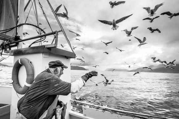 Oregon’s Giant King Salmon Keeps Fishermen Dreaming Big - NewsBreak