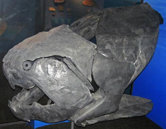 These 8 Prehistoric Predators Dominated Earth Before the Dinosaurs ...