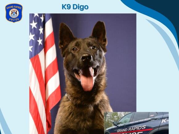 Police: K9 'expected to fully recover' after being stabbed by suspect ...