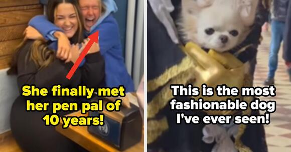 23 Wholesome Internet Moments That Will Temporarily Cure Your Anxiety ...
