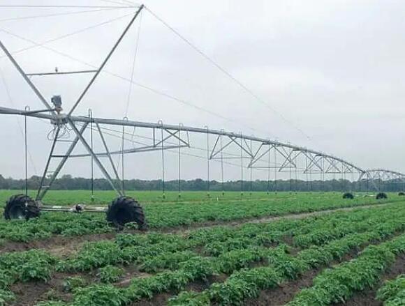 Bayer Drops Seed Program Rules After DOJ Flags Unfair Competition For ...