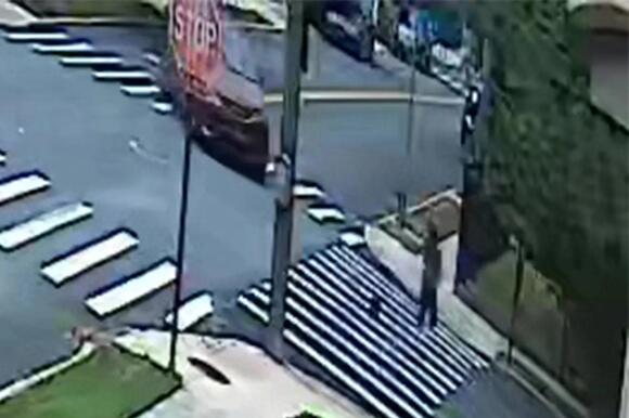 Meet the NYC dog owner arguing his beloved dachshund should legally be ...