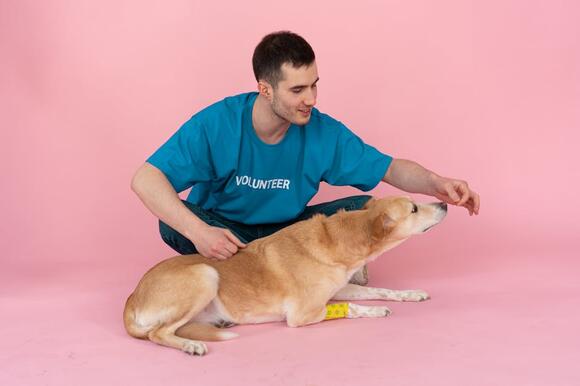 5 Emergency Training Tips for First-Time Dog Owners - NewsBreak