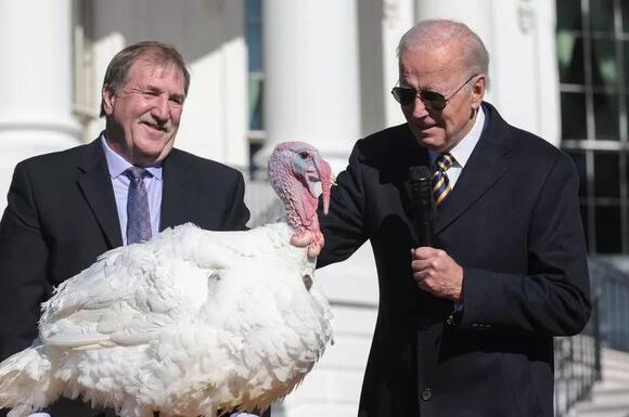 Who was first president to pardon a turkey and bizarre Thanksgiving ...