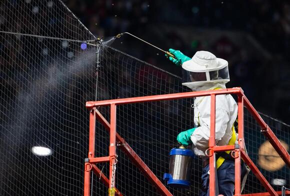 Swarm of bees delays Diamondbacks-Dodgers game in surreal scene