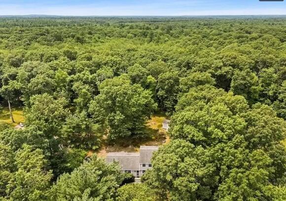 The Karen Read Story, According to Lifetime - NewsBreak