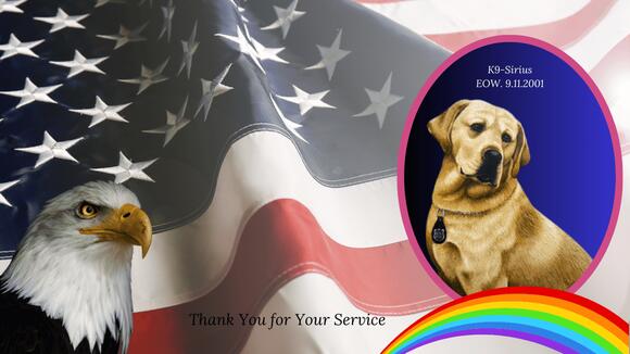 Remembering Sirius, The K9 Hero of 9/11 Who Fell in The Line of Duty ...