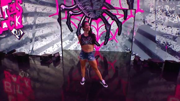 AJ Lee Returns On WWE SmackDown - NewsBreak