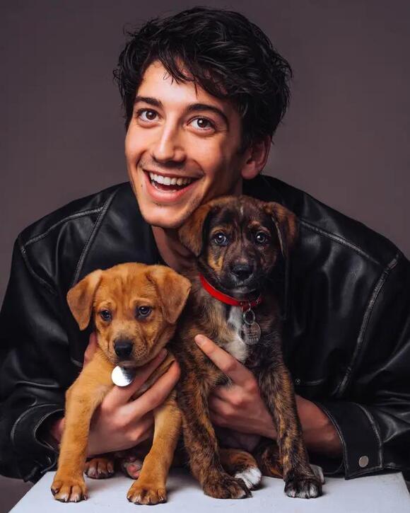Milo Manheim's Puppy Interview Was Just Crashed By His Costar Liz ...