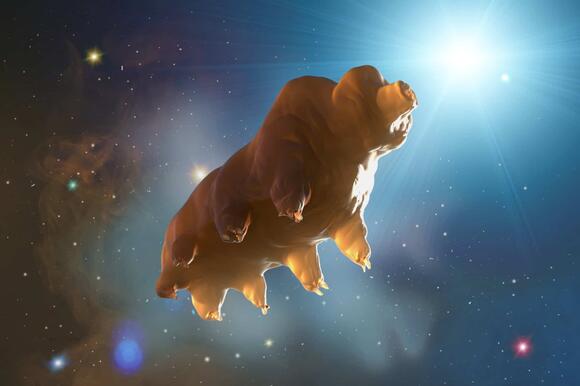 Evolution’s Greatest Mistakes: 10 Animals That Shouldn’t Exist, But Do ...
