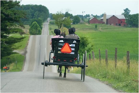 Police Say Driver With No License Hit Amish Buggy On NY Road - NewsBreak