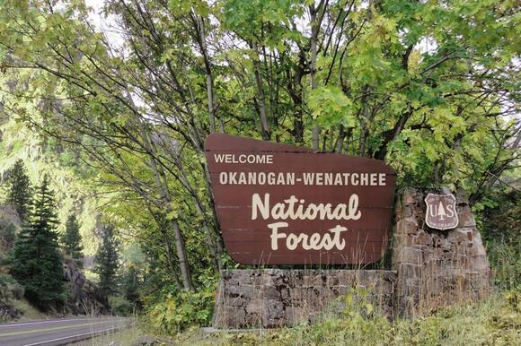 Campfire Rules in Okanogan-Wenatchee National Forest Are Changing ...