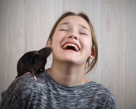 Does NH Have a Rat Problem? - NewsBreak