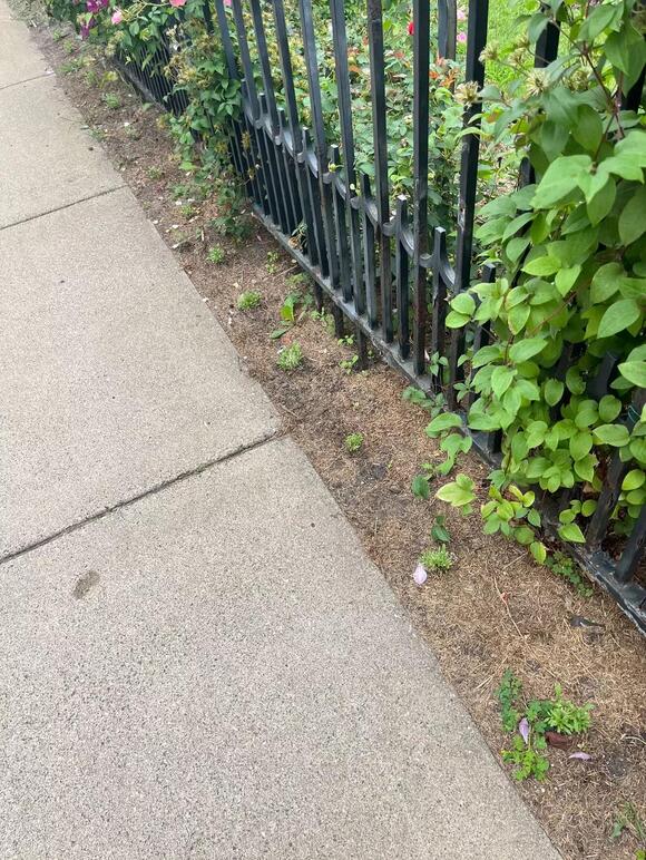 Flags At Half-staff Saturday To Remember Milaca Firefighter - NewsBreak