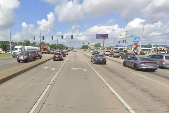 How to Make a Lisa Frank Pet Photo Everyone is Posting - NewsBreak