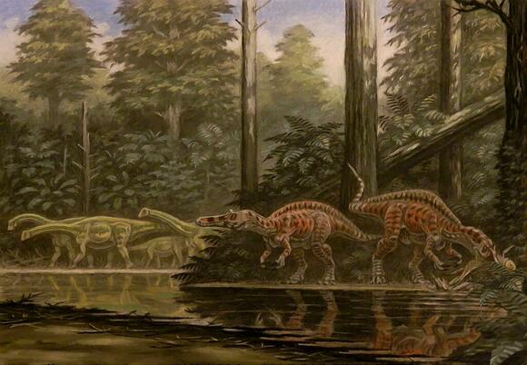 Cathy Forster: The Paleontologist Revealing the Origins of Flight ...