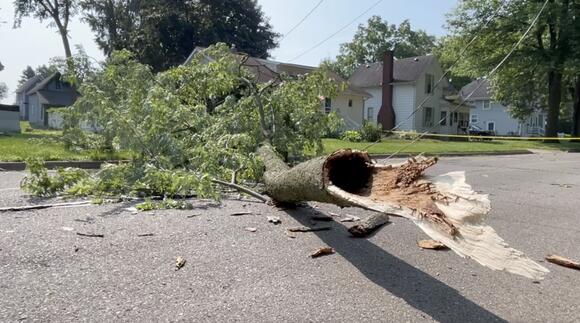 Jackson Neighbors Pick Up After Storm