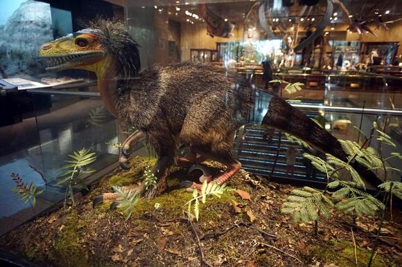 Was the Smallest Dinosaur Actually a Bird? Blurring the Cretaceous Line ...