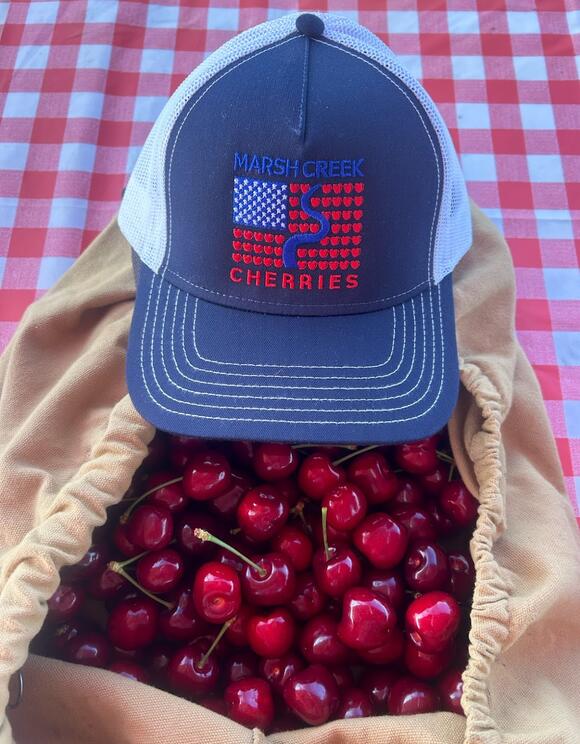 6 Farmers' Markets, Cherry Picking, and Food Festivals in Contra Costa ...