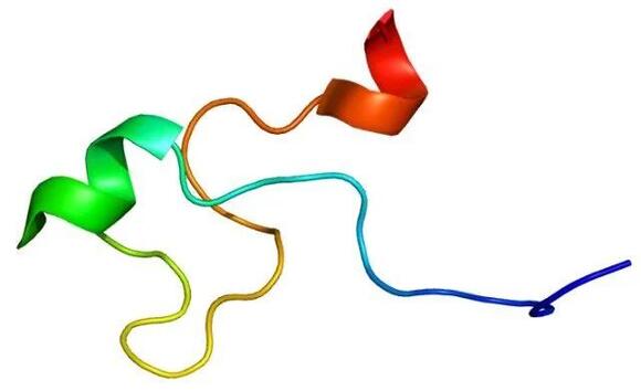 Aging Mice Became Stronger When Scientists Boosted One Protein - NewsBreak