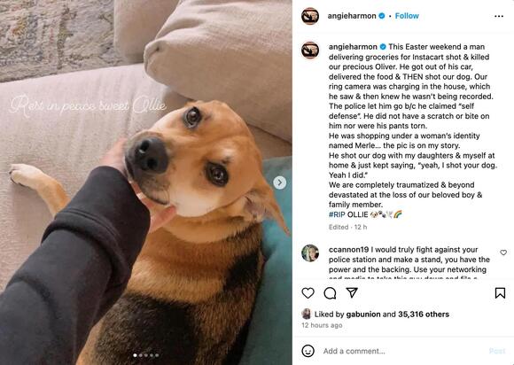 Angie Harmon accuses Instacart delivery driver of shooting and killing ...