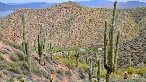 Where Is Arizona? See Its Map Location and Surrounding States - NewsBreak