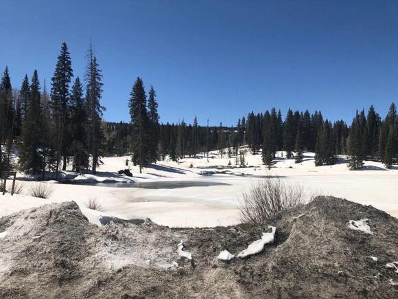 Big Snow Coming To Colorado's Grand Mesa: See The Forecast - NewsBreak