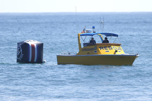 Sharks in Southern California: What to Expect This Summer