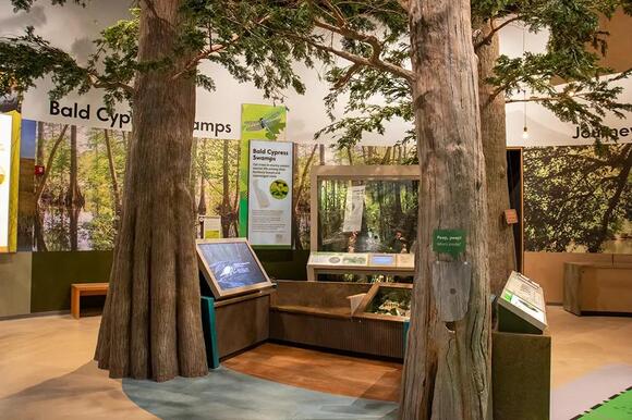 Delaware Museum of Nature and Science packs holiday week with ...