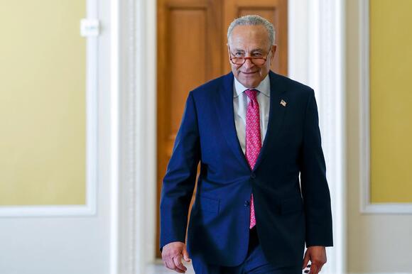Chuck Schumer deletes Father’s Day photo tweet in front of grill after ...